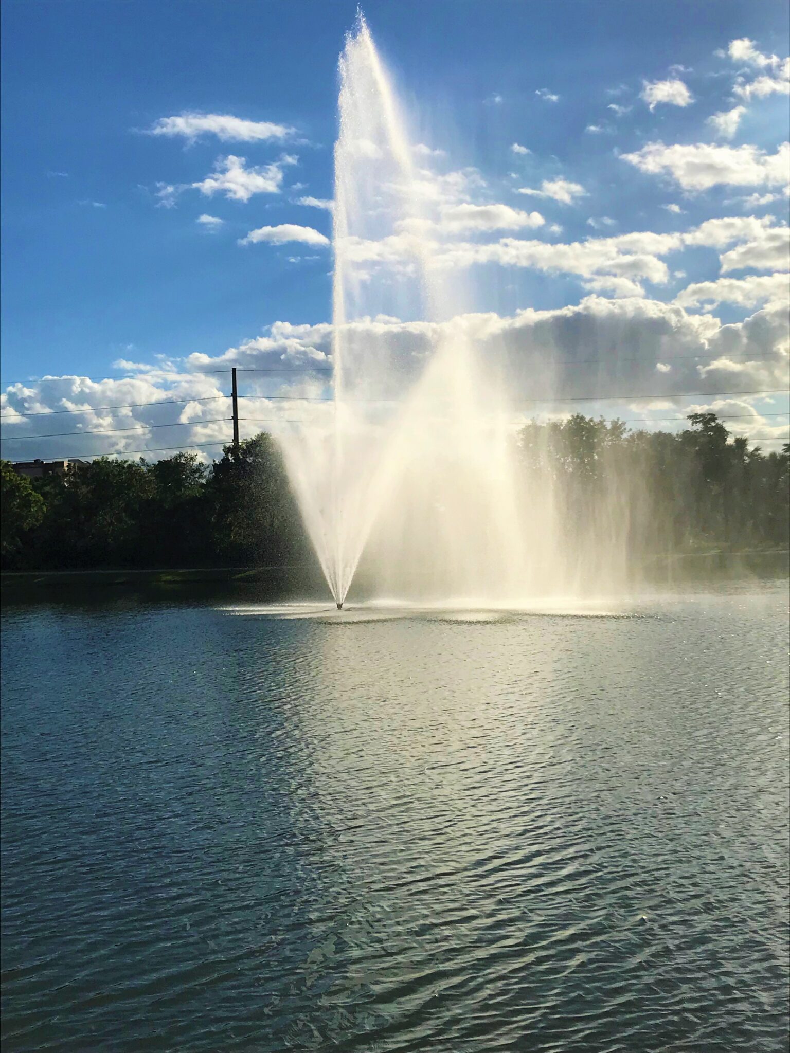 Pond Fountains: Upgrade Your Lake or Pond, Jacksonville F