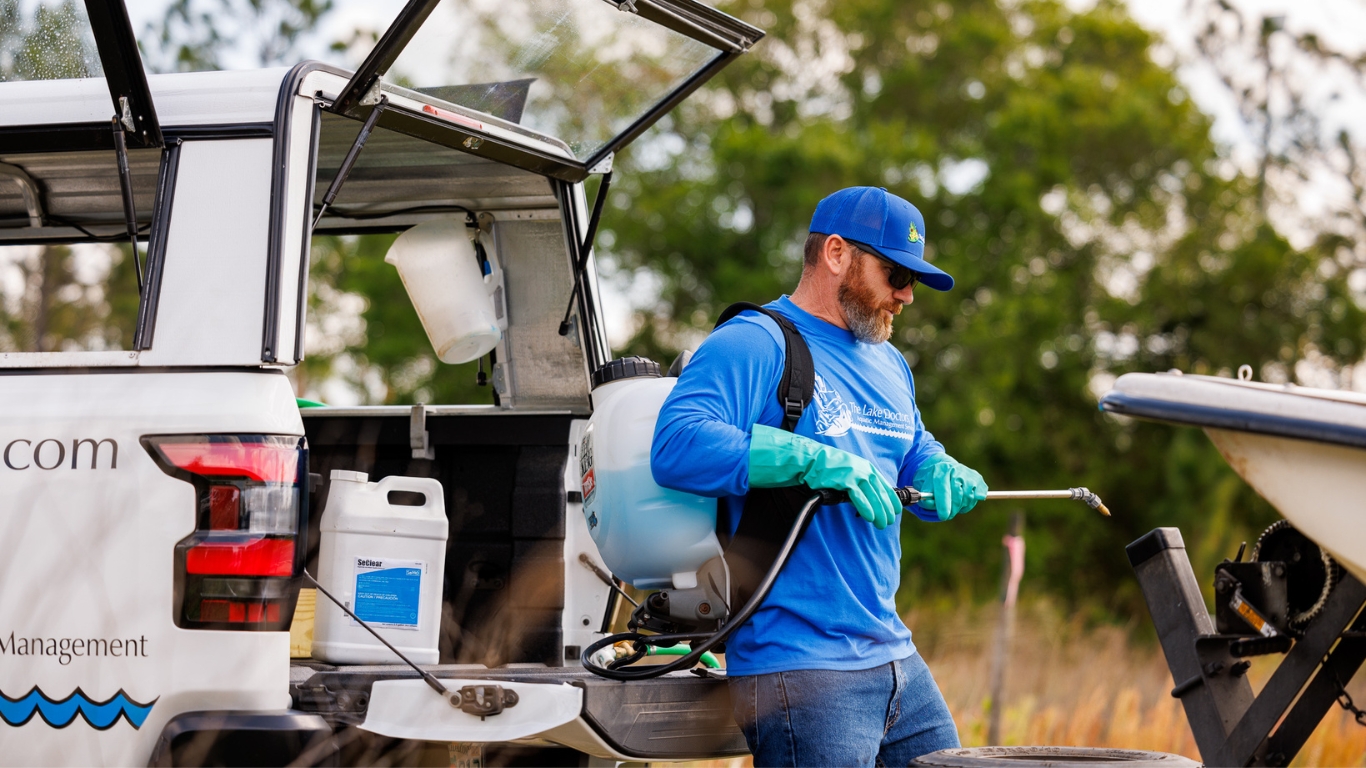 Midges Control: How to Get Rid of Non-Biting Aquatic Midges